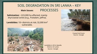 Soil Types and Their Characteristics in Sri Lanka (1).pptx