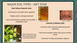Soil Types and Their Characteristics in Sri Lanka (1).pptx