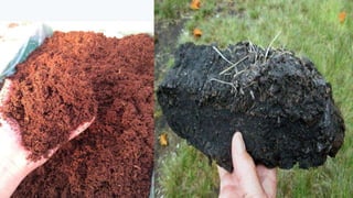 SOILTYPES it's all type parts and eg characters | PPTX