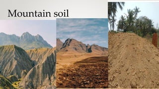 SOILTYPES it's all type parts and eg characters | PPTX
