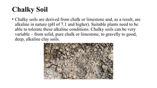 Soil Unit 3 Soil Unit 3 Soil Unit 3 Soil | PPTX