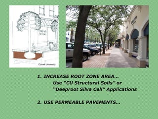 Soil Volume Structural Soils (Socash) 2008 Sept Miami Dade Ciab | PPT