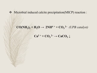BIOCEMENTATION FOR SAND USING WASTE (CONTAIN CALCIUM SOURCE) | PPTX