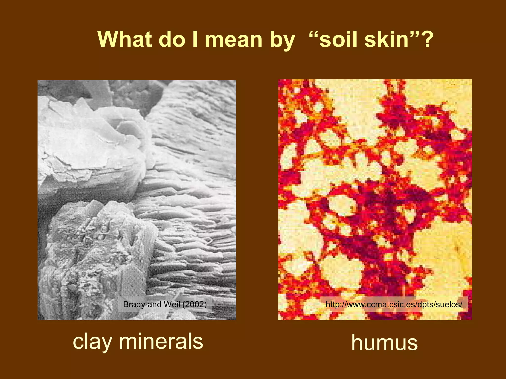 Understanding Soil Water | PDF