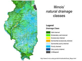 Understanding Soil Water | PDF