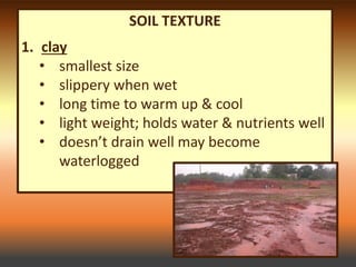 Soil and Water 1 Notes (Soil) | PPTX