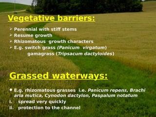 Soil water conservation methods in agriculture | PDF