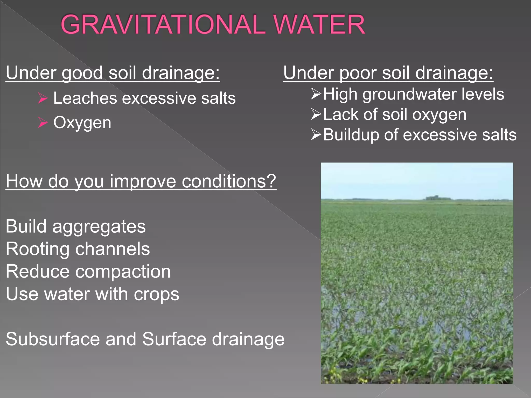 Soil water movement | PPT