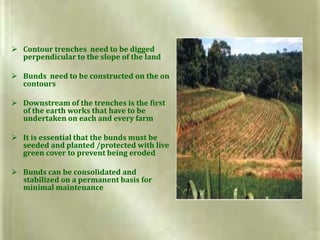 Soil water pests trees | PPTX | Gardening | Home & Garden