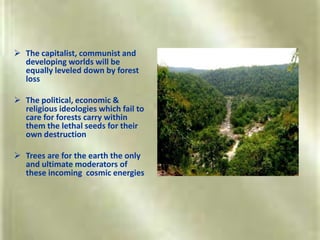 Soil water pests trees | PPTX | Gardening | Home & Garden