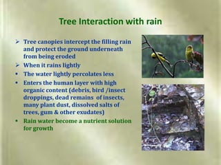 Soil water pests trees | PPTX | Gardening | Home & Garden