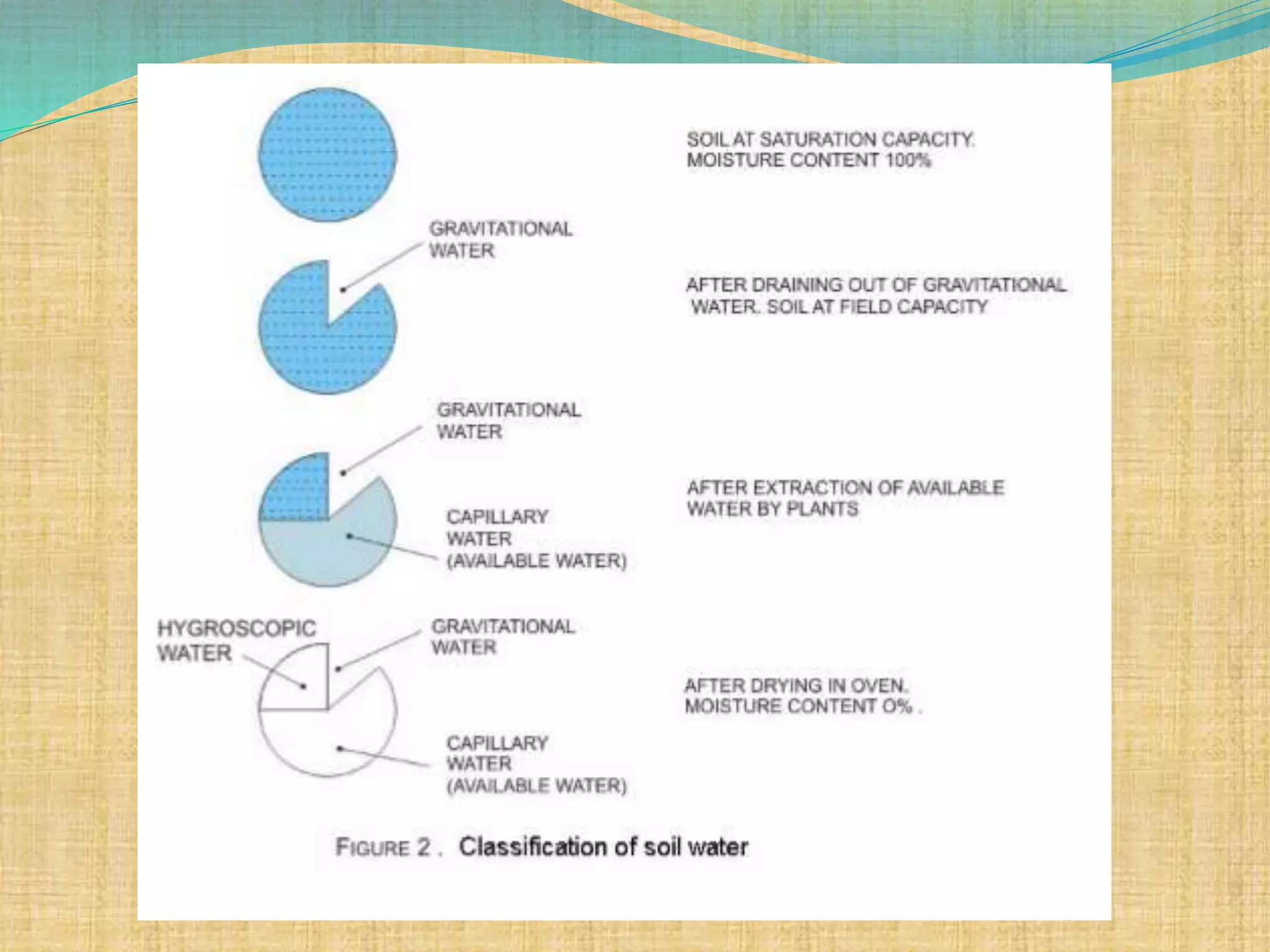 Soil water plant relationship | PPTX