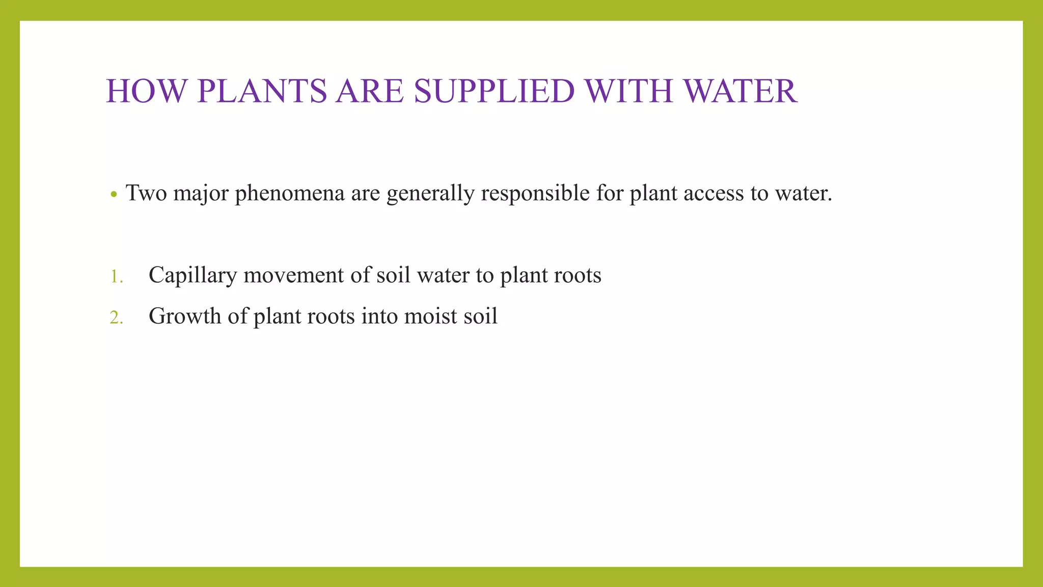 Soil water plant relationship | PPTX