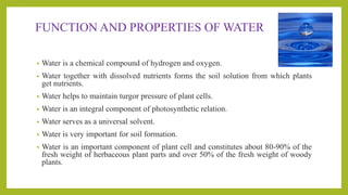 Soil water plant relationship | PPTX | Gardening | Home & Garden