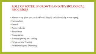 Soil water plant relationship | PPTX | Gardening | Home & Garden