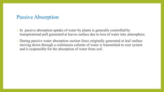 Soil water plant relationship | PPTX