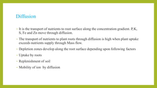 Soil water plant relationship | PPTX