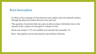 Soil water plant relationship | PPTX