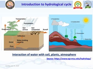 Plants And Soil Diagrams