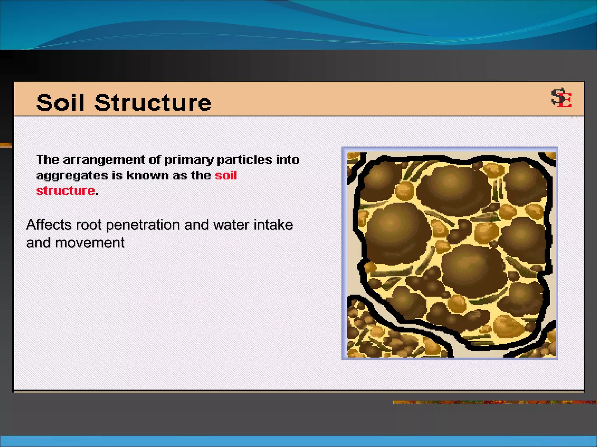 Soil Water Plant Relationships | PPT
