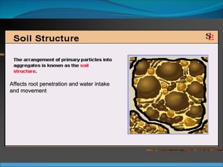 Soil Water Plant Relationships | PPT