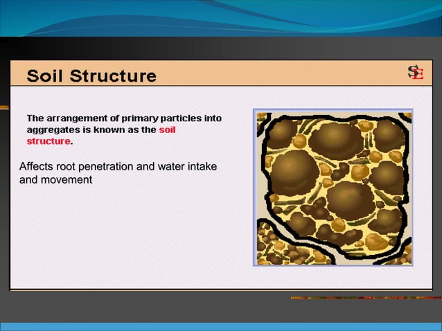 Soil Water Plant Relationships | PPT | Gardening | Home & Garden