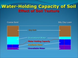 Soil Water Plant Relationships | PPT
