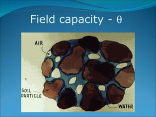 Soil Water Plant Relationships | PPT