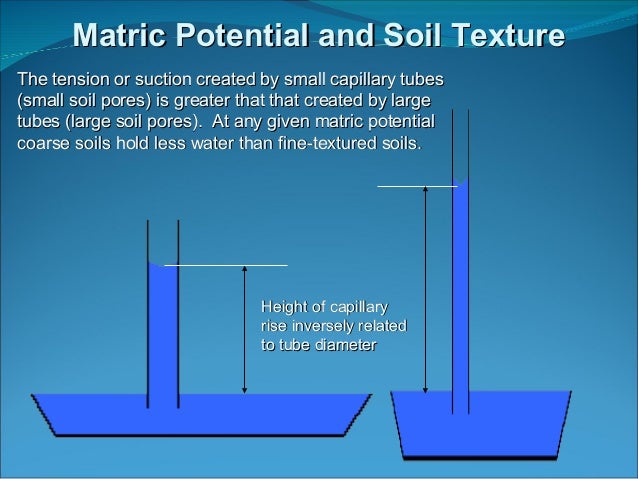 Soil Water Plant Relationships