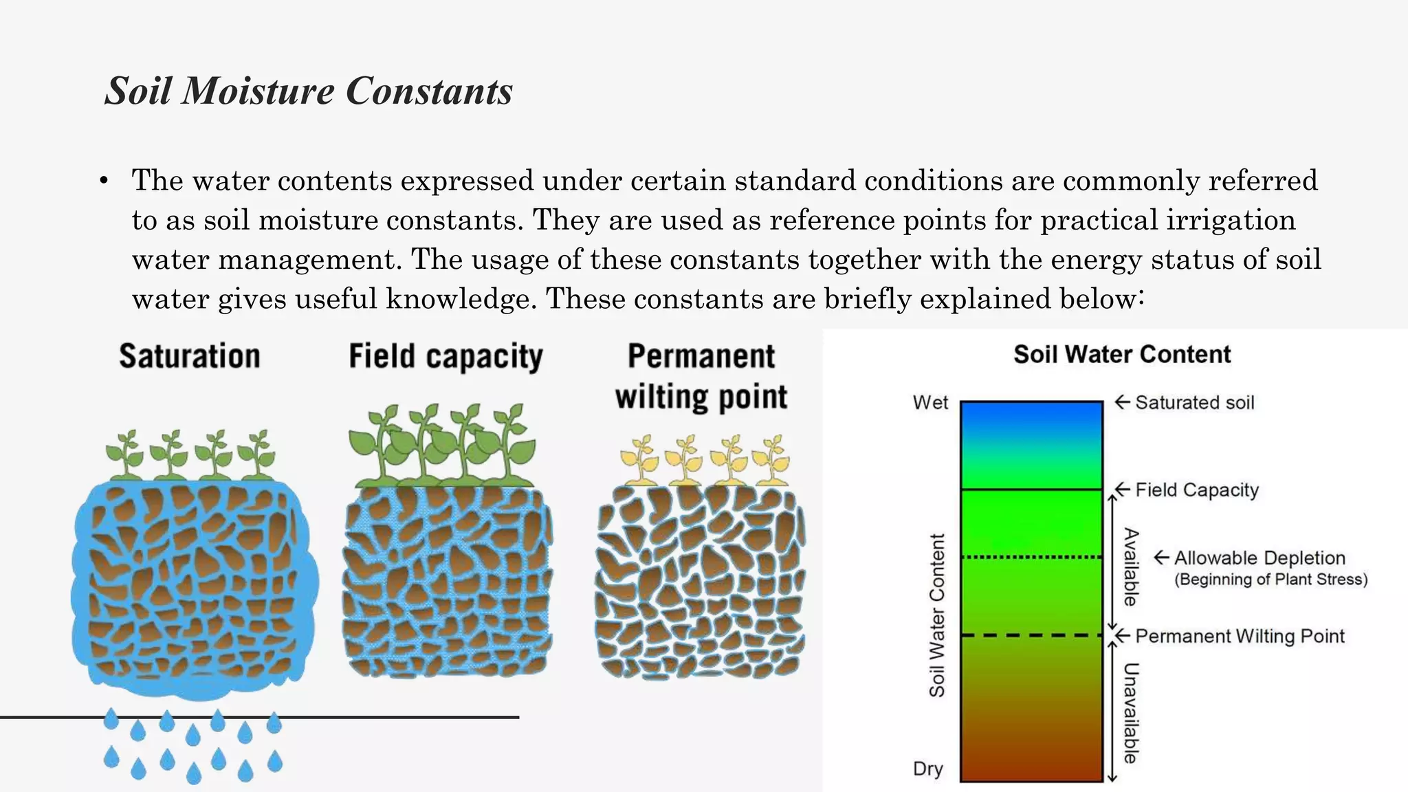 Soil water relations | PPT
