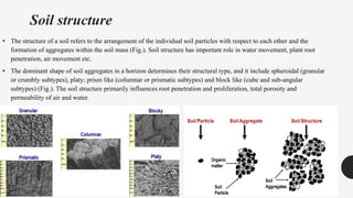 Soil water relations | PPT