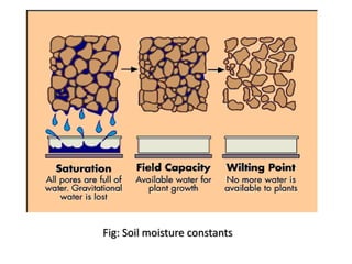SOIL WATER- SATURATED AND UNSATURATED FLOW | PPTX