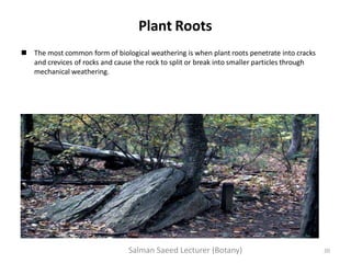 Soil Weathering Lecture by Salman Saeed | PPTX