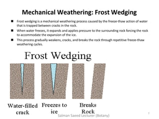 Soil Weathering Lecture by Salman Saeed | PPT