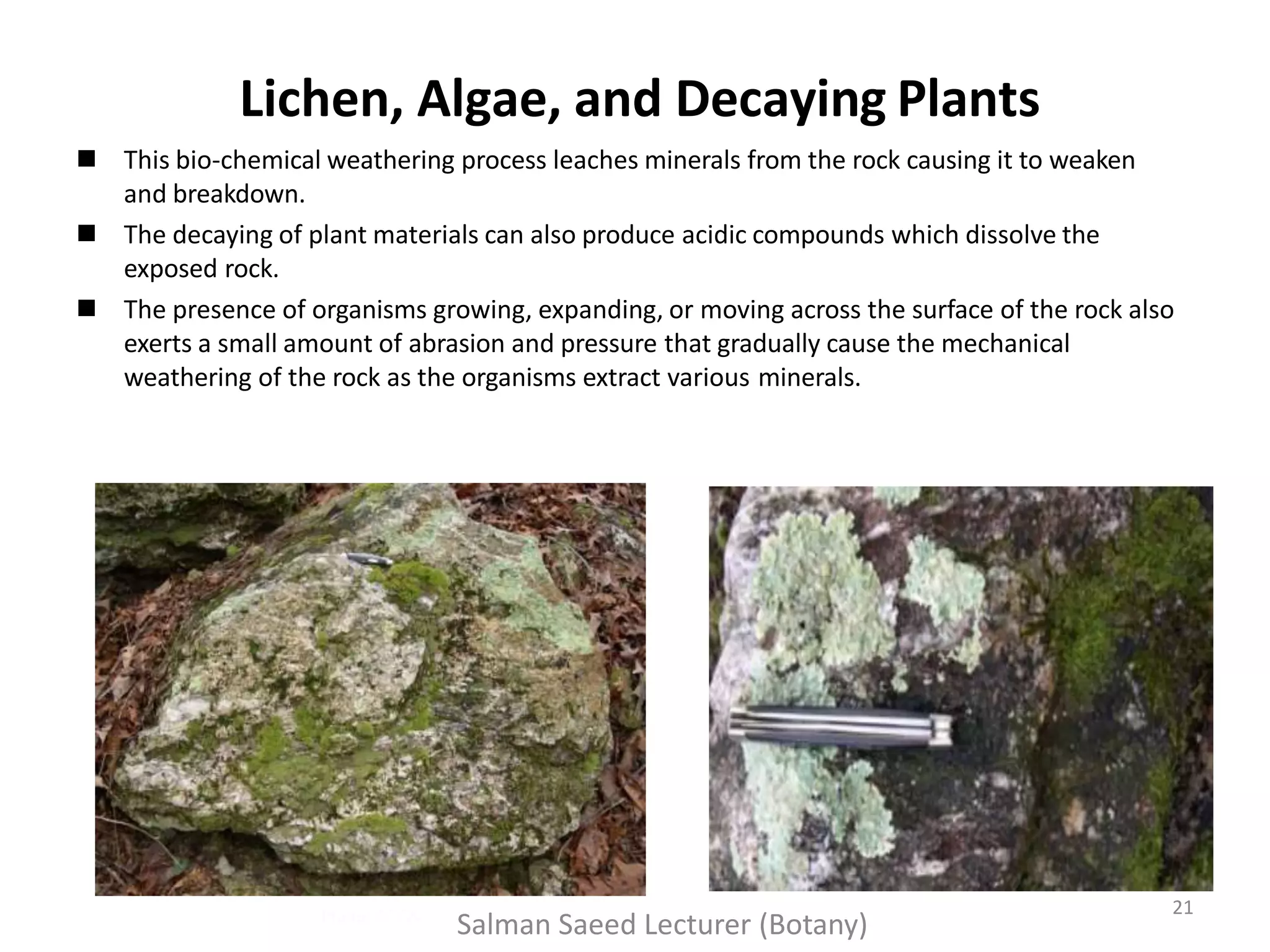 Soil Weathering by Salman Saeed .pptx