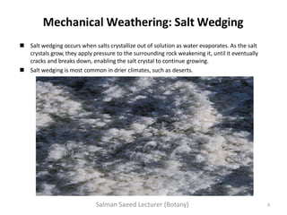 Soil Weathering by Salman Saeed .pptx