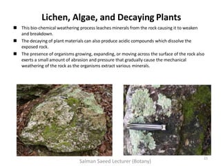 Soil Weathering by Salman Saeed .pptx