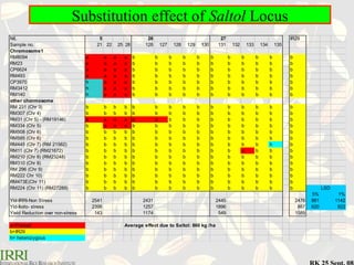 SOIL Where rice and salt live together.ppt