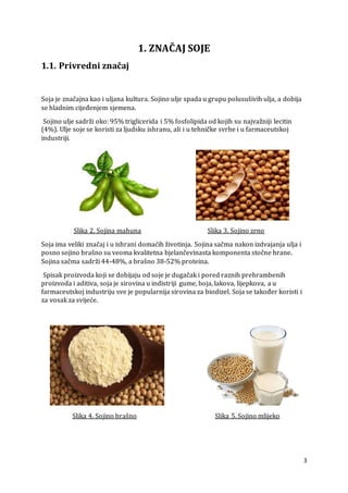 Soja (uzgoj soje) | DOCX