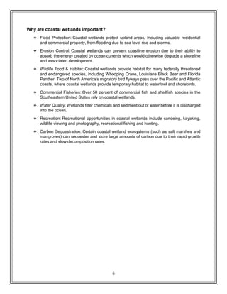 Protection of coastal wetlands and Protection of coastal waters | PDF