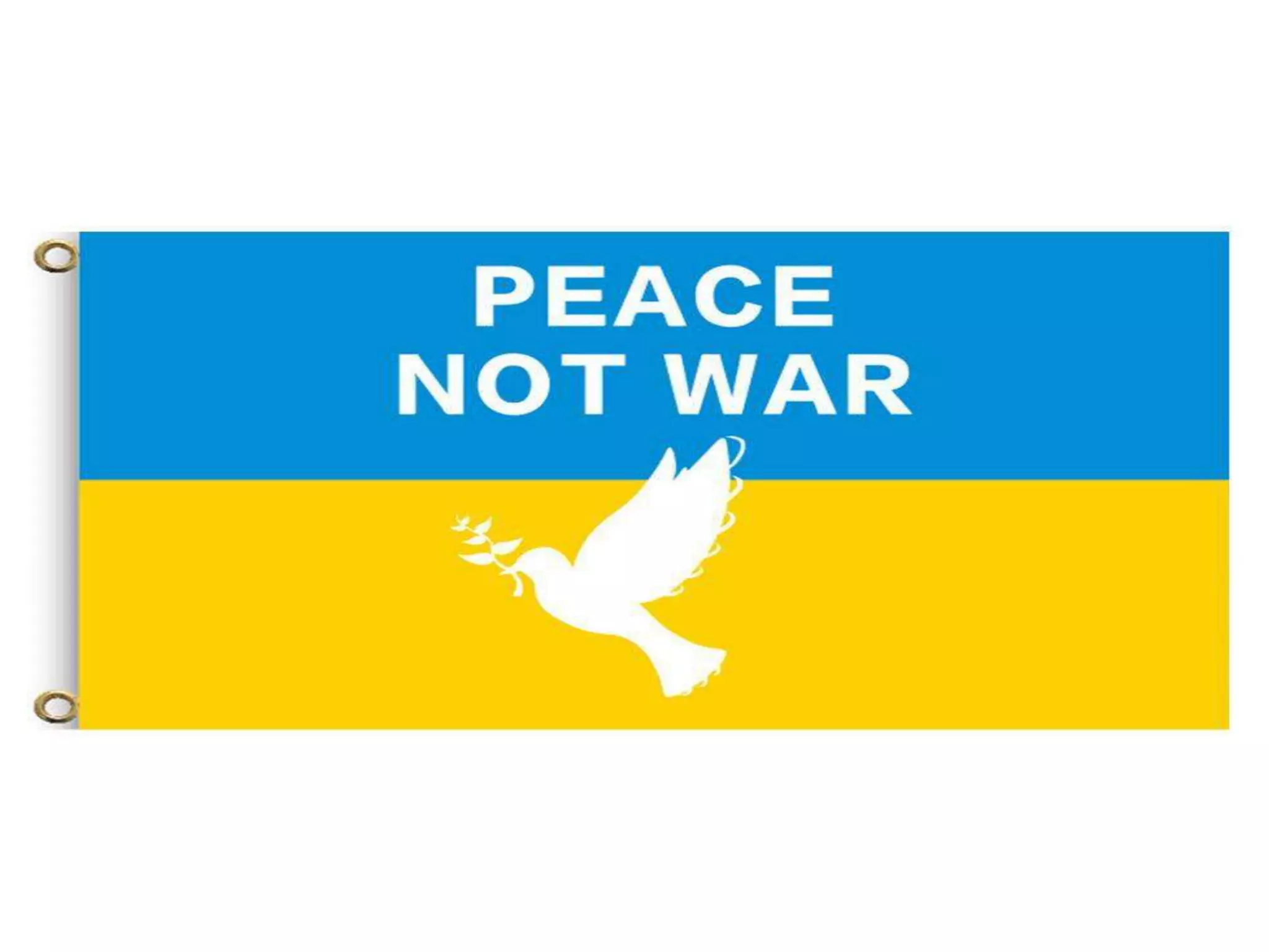 Maria Prymachenko Museum in Ivankovo | PPTX