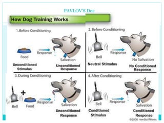 Sokhoeurn behaviorism | PPTX | Science