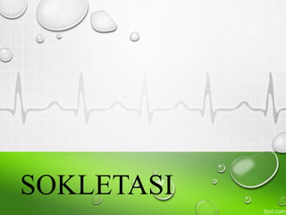 SOKLETASI_Farmakognosi 2_.pptx