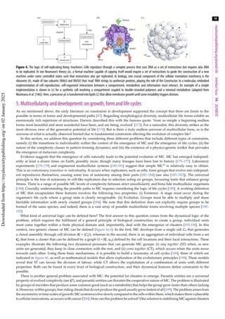 Fundamental constraints to the logic ofliving systems | PDF