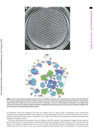 Fundamental constraints to the logic ofliving systems | PDF