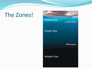 Sol 5.6 big blue marble the oceans zones | PPT