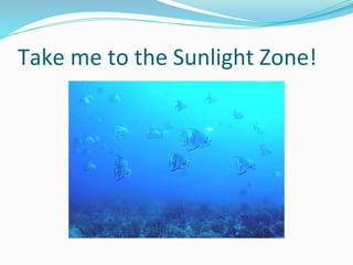 Sol 5.6 big blue marble the oceans zones | PPT