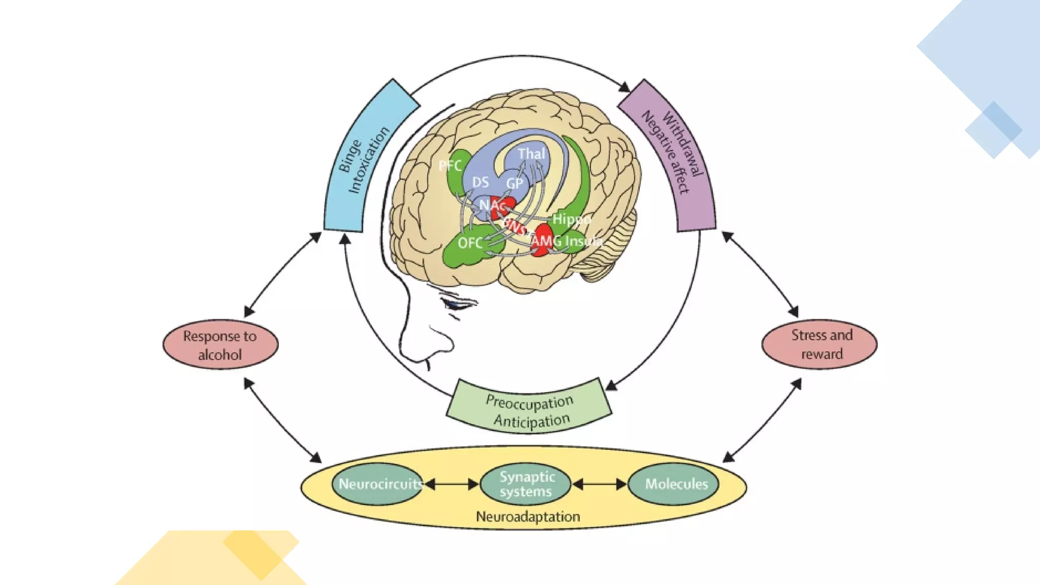 SOLACEASIA Handouts-Masalah Ketagihan dan Memperkasakan Pendidik.pdf