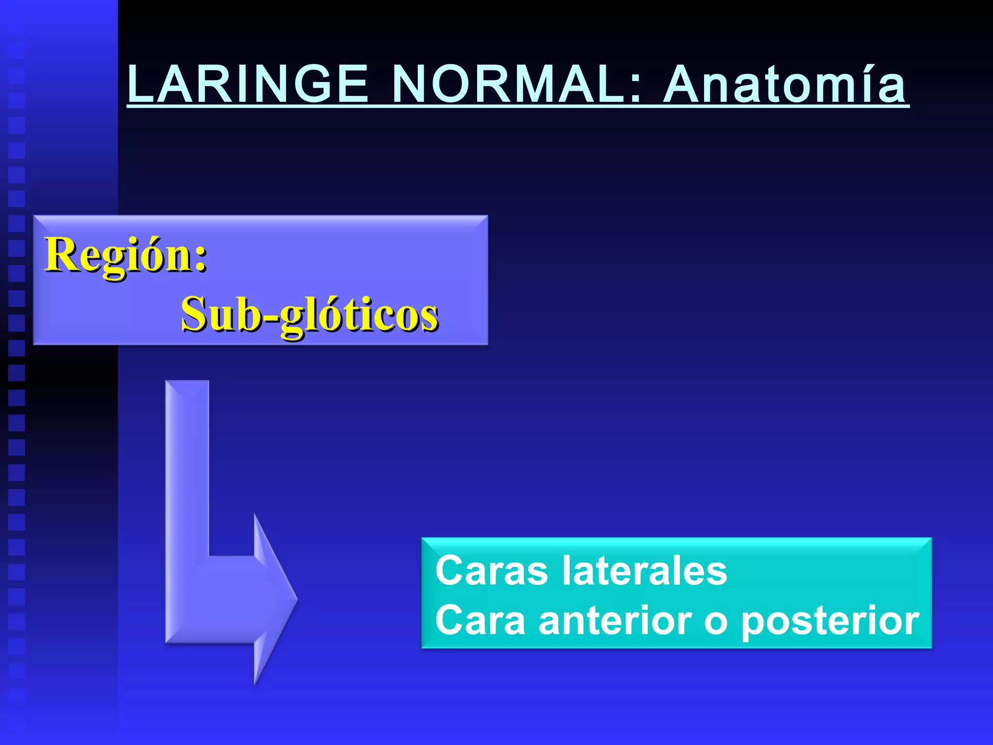 Sindrome obstructivo laringeo agudo | PPT