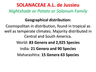 Solanaceae | PPTX